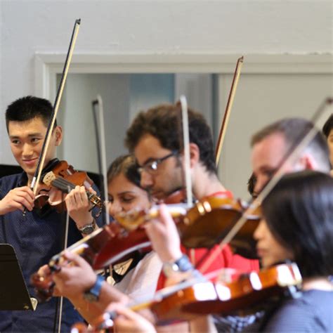 String School Specialist Strings Tuition For Adults London String