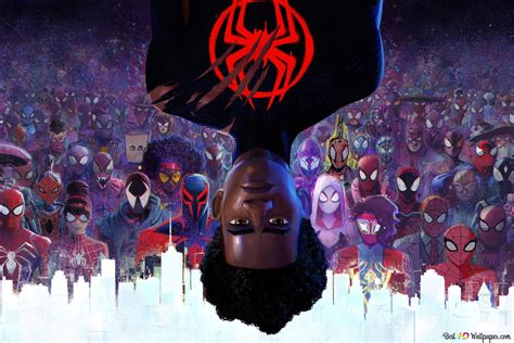 Miles Morales From Spider Man Across The Spider Verse 4k Wallpaper