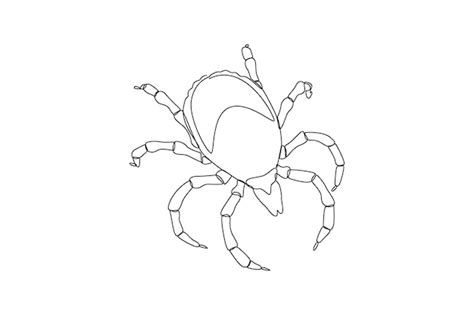 Premium Vector Continuous One Line Drawing Insects Concept Single Line Draw Design Vector