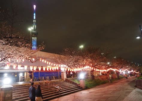 焼き芋友の会 すみだ経済新聞
