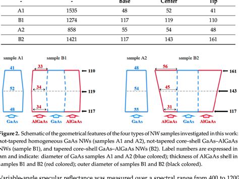 Morphological Parameters Of The Investigated Samples Download