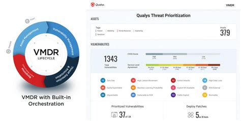 Qualys Vectra