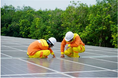 Reciclaje de paneles solares Dónde llevarlos