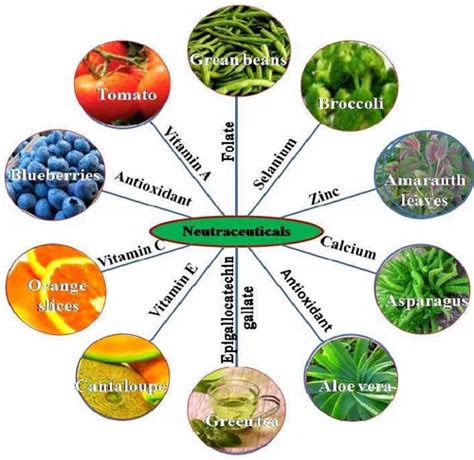 Nutraceutical Product At Best Price In Kaithal By Omis Bio Sciences