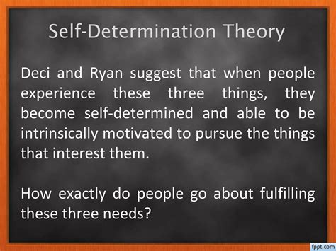 Self Determination Theory PPT