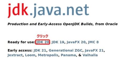 Javaアップデート徹底解説OpenJDKのインストール だんちゃんの冒険