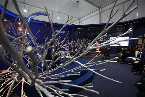 Climate Art At COP27