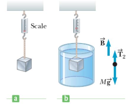 Solved The Gravitational Force Exerted On A Solid Object Is