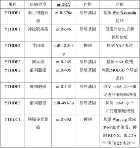Rna表观遗传领域前言热点 知乎