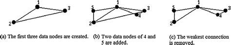 An Example Of The Evolving Self Organizing Map Clustering Download