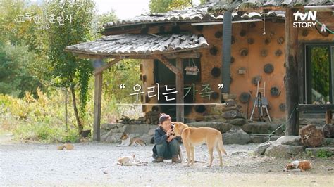 선공개 이효리가 맺어준 소중한 인연 지리산 첫 번째 섬돌이네 집 고독한훈련사 YouTube