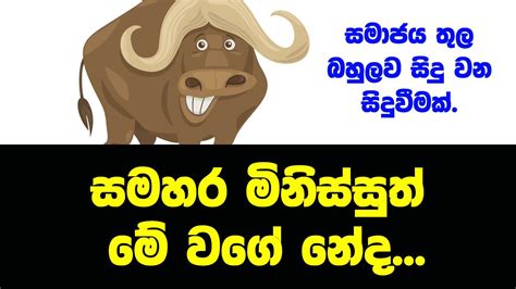 Sri Lankan School Girl Leak Video අලුතෙන්ම ලීක් වුනු ස්කූල් කෙල්ලගෙ