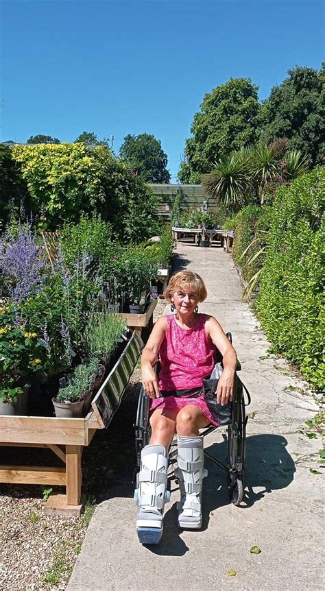 6 Wheelchair Accessible Garden Design Elements For Easier Gardening