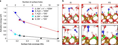 Kinetics Of The O O Bond Formation Step A Activation Energy Of The O O