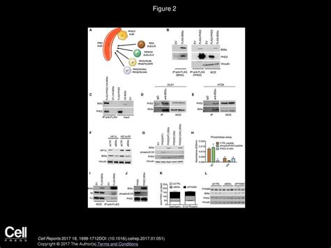 Volume 18 Issue 7 Pages February 2017 Ppt Download