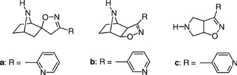Synthesis Of Epibatidine‐related Δ2‐isoxazoline Derivatives And