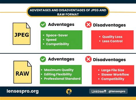 Understanding JPEG Vs RAW A Beginner S Guide