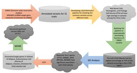 github jyu36 bioinformatics research pipeline bioinformatics