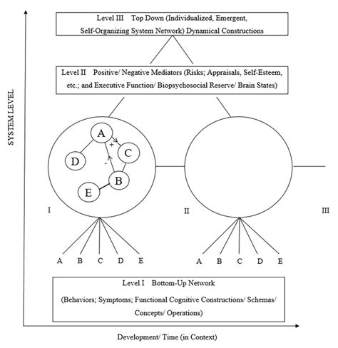 A Network Of Functional Cognitive Constructions And Organizational