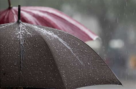Weather Alert Issued By Met Dept Thunderstorms To Hit This State As