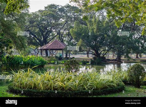 Suan Luang Rama Ix Rama Ix Park Public Park In Prawet District