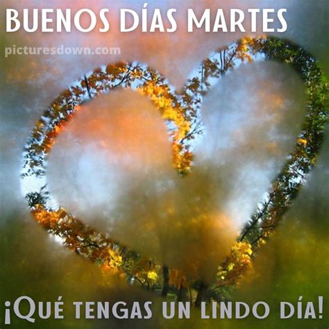 Buenos días martes amor mio imagen corazón
