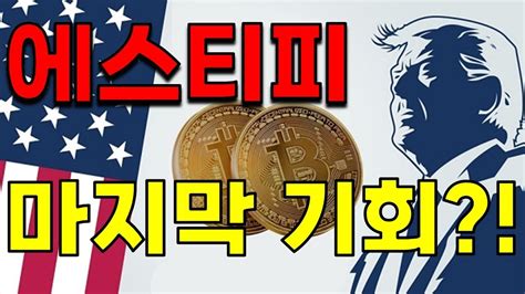 에스티피 시즌 종료 전 마지막 기회 영상 필수시청 Youtube