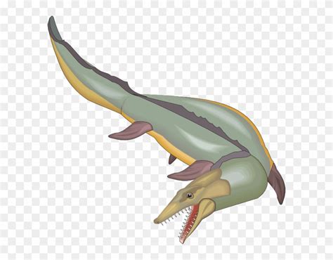 Small Mosasaurus Clipart Png Download 4759799 Pikpng