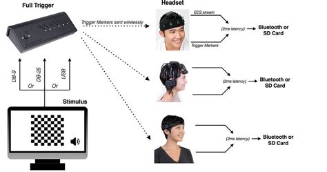 Wireless Eeg Trigger Cgx Cognionics