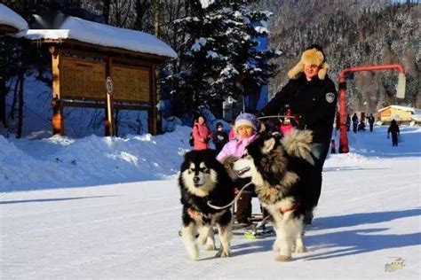 【东北冰雪盛宴】2021年1月松花江冰雪嘉年华 哈尔滨冰雪大世界 中国雪谷 中国雪乡 太阳岛雪博会四日游招募中（两期连发） 搜狐大视野 搜狐新闻