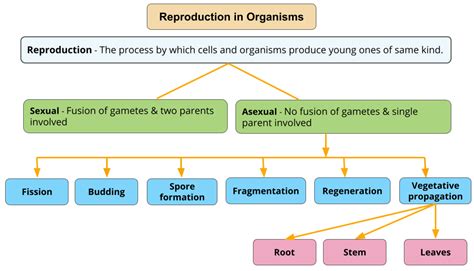 Reproduction — Lesson Science Cbse Class 8