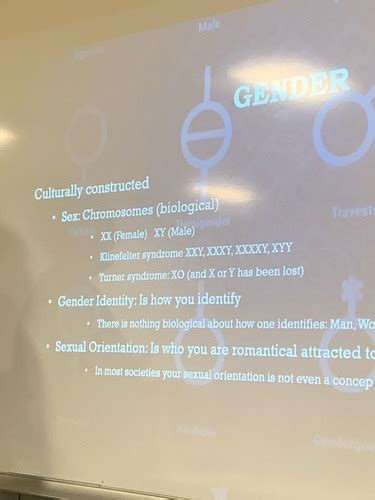 Anthro Gender Flashcards Quizlet