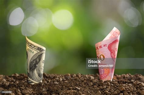 사업 저축 성장 경제 개념에 대 한 토양 위에 중국 위안 지폐와 미국 달러 지폐의 이미지 0명에 대한 스톡 사진 및 기타 이미지
