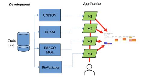 The European Revert Project An Ai Based Dss For Treatment Selection
