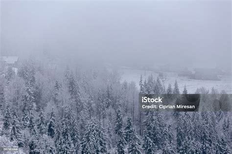 추상적 인 배경 티후타 패스의 자연 풍경 매우 추운 겨울 아침 날 나무와 도로가 신선한 눈으로 덮여 0명에 대한 스톡 사진 및 기타 이미지 Istock