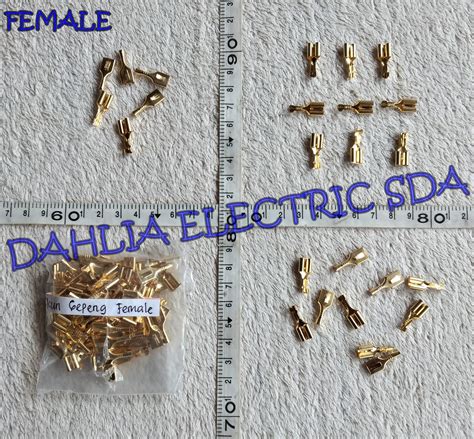 SKUN GEPENG FEMALE HARGA PER PCS Lazada Indonesia