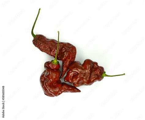 Carolina Reaper The Hottest Chile Pepper Capsicum Chinense Whole Ripe