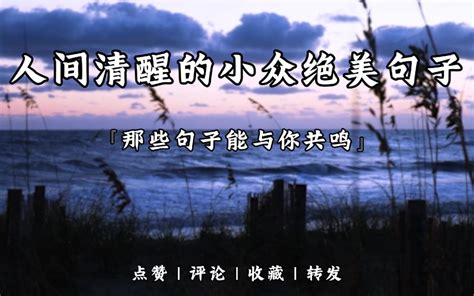莫要伤春悲秋，时间不会回头。Ⅰ清醒且小众的句子 哔哩哔哩