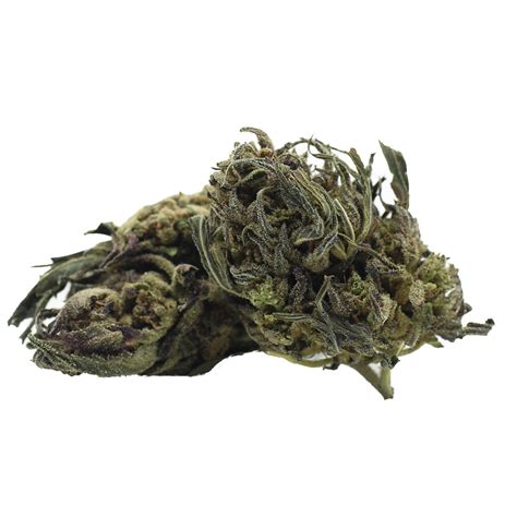 Kush Mints Aa Kush Capital
