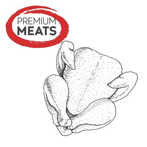 Premium Vector Chicken Hand Drawn Vector Illustration Meat Product