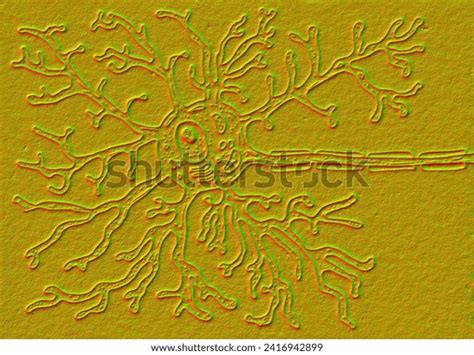 110 Neuron Morphology 图片、库存照片、3d 物体和矢量图 Shutterstock