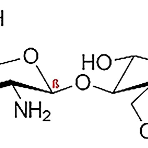 Chemical Structure Of Chitosan Download Scientific Diagram