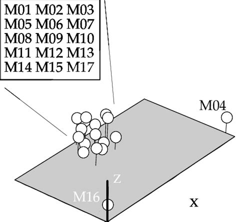 Genetic Analyses Using Rapd A Dendrogram Generated By Upmga Of The