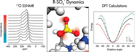 变温 17o Nmr 研究允许对有机固体中的分子动力学进行定量评估journal Of The American Chemical