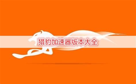 猎豹加速器安卓版 猎豹加速器安卓版下载官网 漫漫看