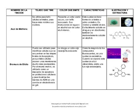 Técnicas De Tinción En Histología Azul De Metileno Y Otros Colorantes
