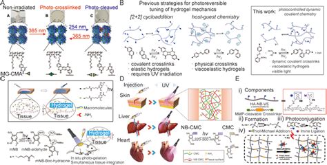 A Schematic Reversible Stiffness Regulation Based On Dynamic Download Scientific Diagram