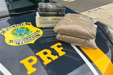 Conquista Prf Apreende K9 E Cocaína Em ônibus Com Duas Mulheres Que
