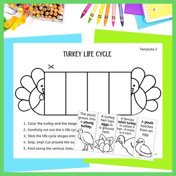 Life Cycle Of A Turkey Foldable Sequencing Science Activity Bird Cut