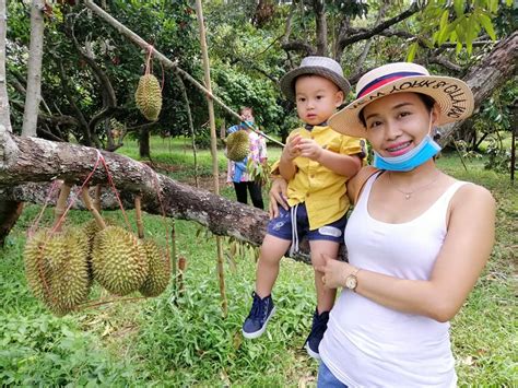 สดจากสวน สวนเกษตรลุงฮุย บ้านดินริมคลอง